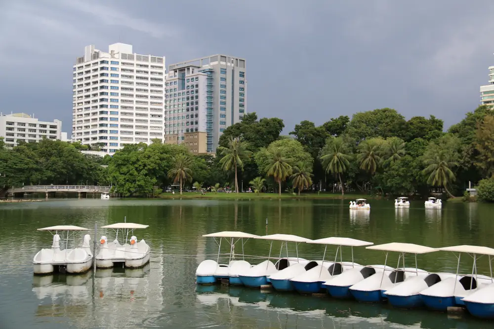 Lumpini Park Paddle Boats & Playground - Dragon Study Tours