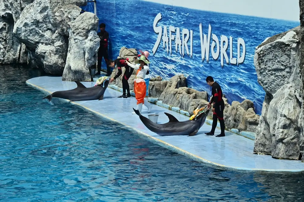 Safari World & Marine Park - Dragon Study Tours