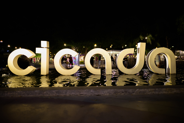 Cicada Market - Dragon Study Tours