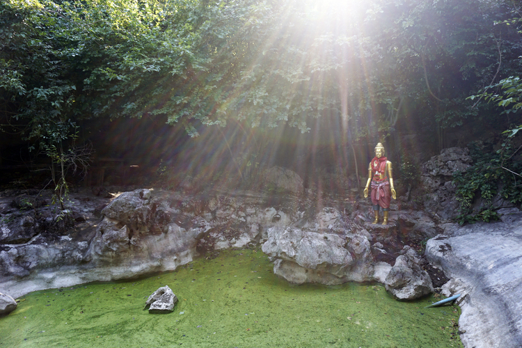 Khao Nang Phanthurat Forest Park - Dragon Study Tours